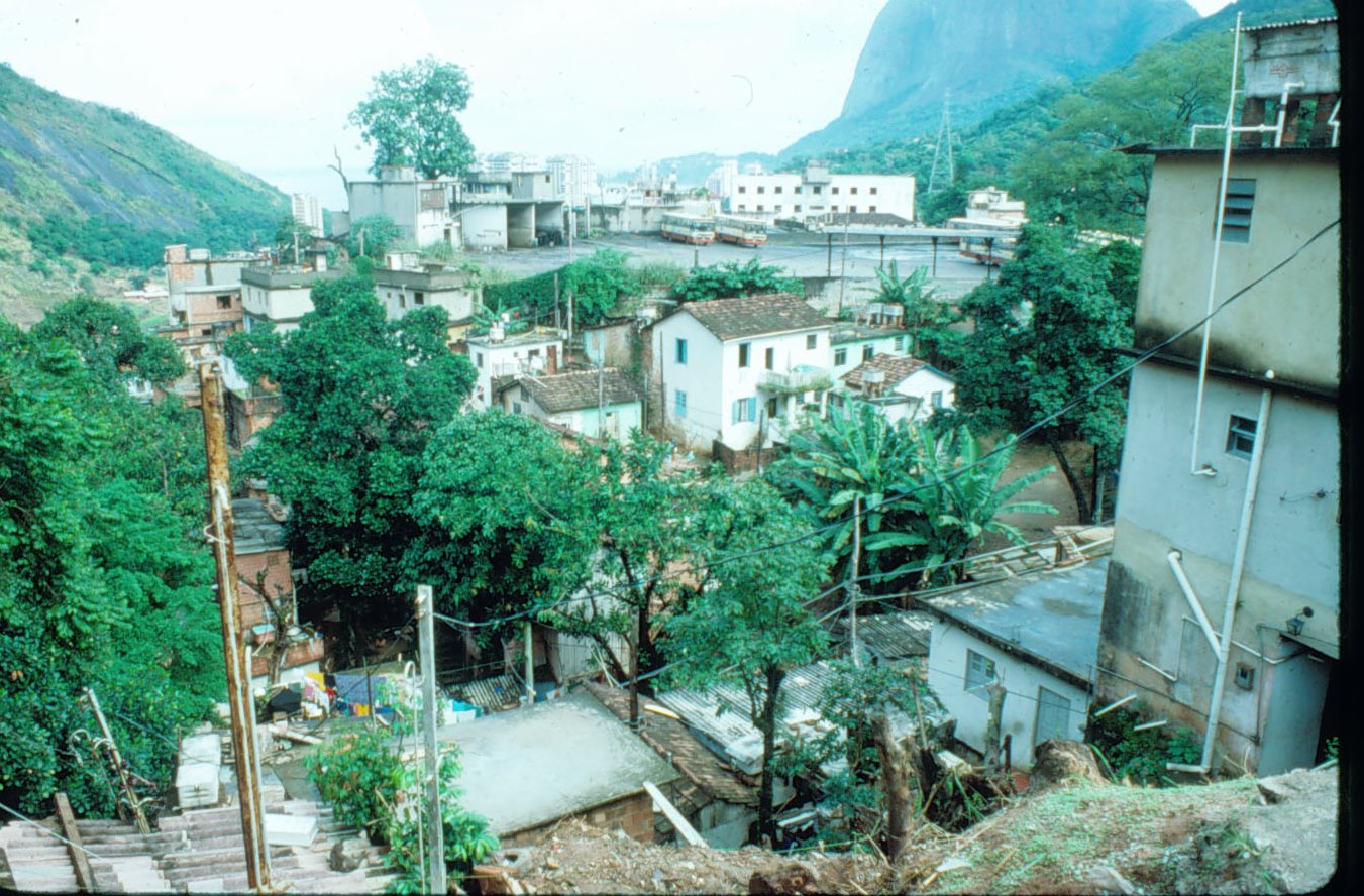 O futuro verde que brota do morro - Fala Roça - Notícias da Rocinha